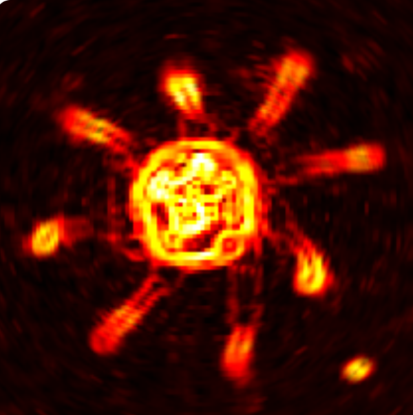 Groups - Living Systems Institute - University of Exeter