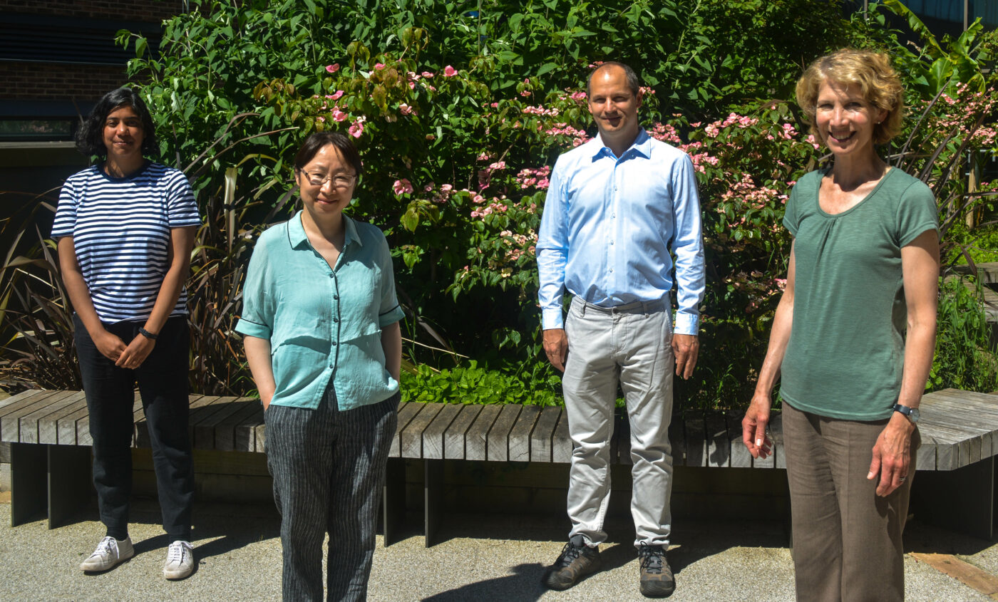 Equality, Diversity and Inclusivity at LSI - Living Systems Institute ...