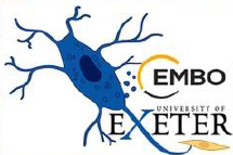 EMBO Workshop: Long-distance cell-cell signalling in development and ...