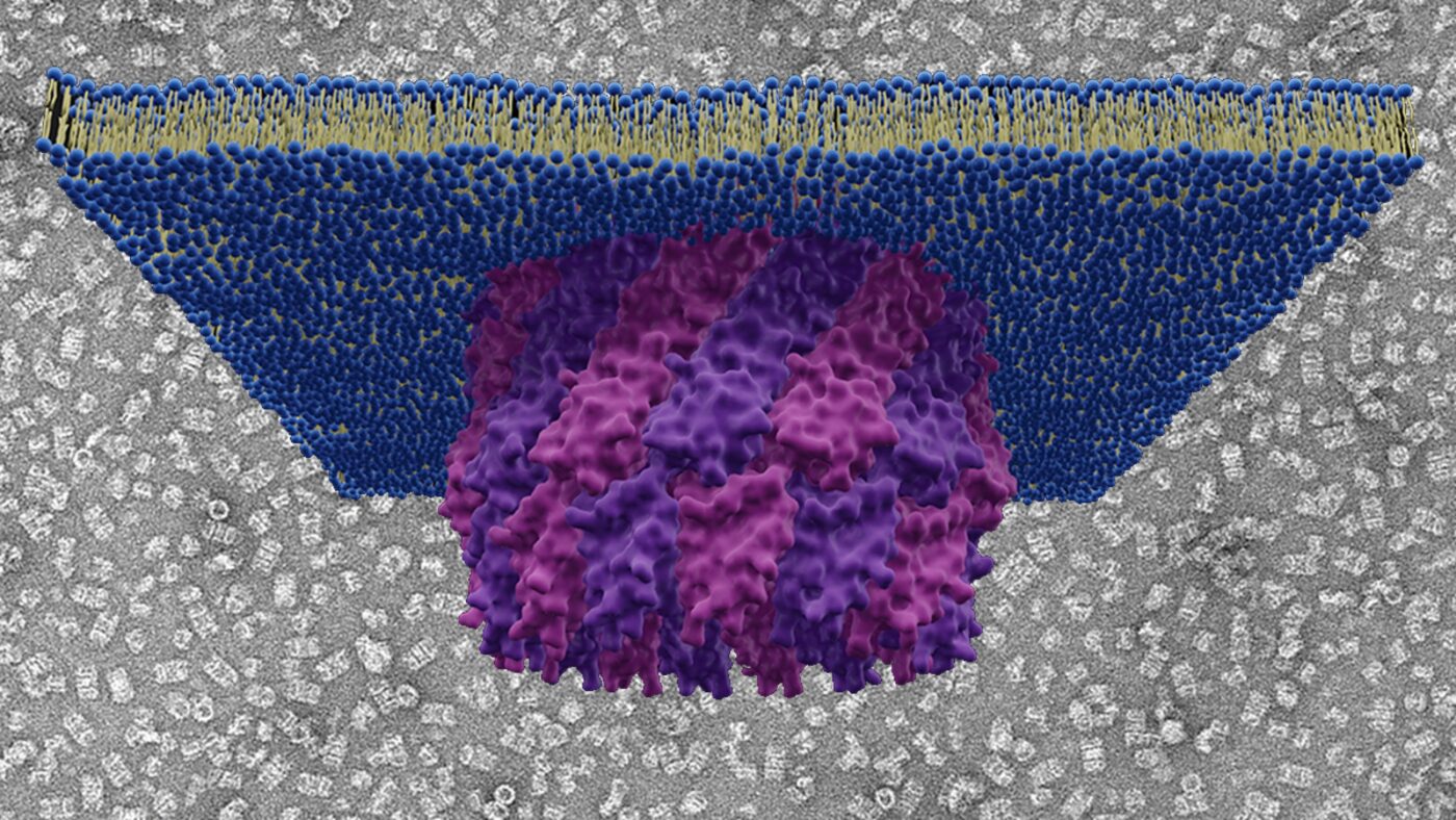 Research Overview - Living Systems Institute - University of Exeter