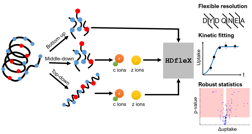 Phillips Group - Living Systems Institute - University of Exeter