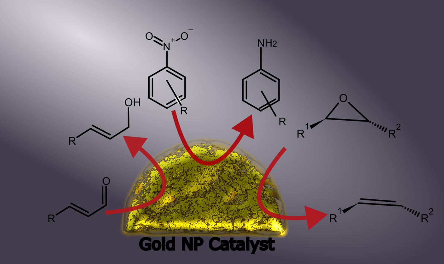 Vollmer Group - Living Systems Institute - University of Exeter