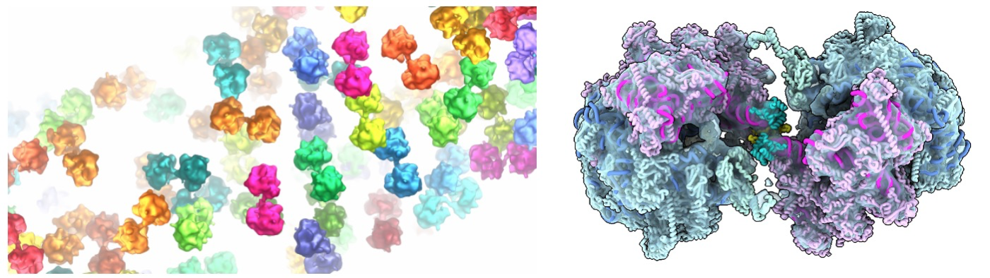 Daum Group - Living Systems Institute - University of Exeter
