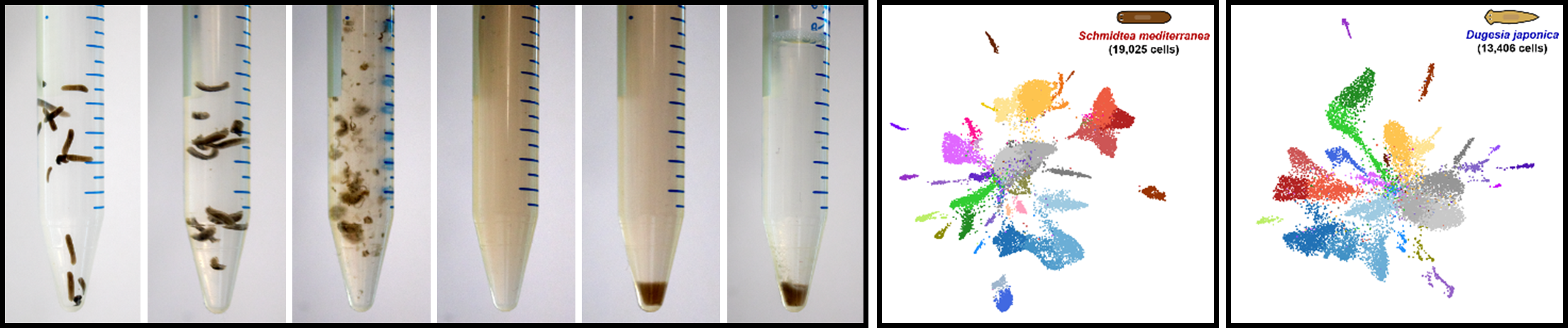 Solana Group - Living Systems Institute - University of Exeter